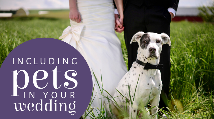 Your big day is almost here and you can’t imagine spending it without ...